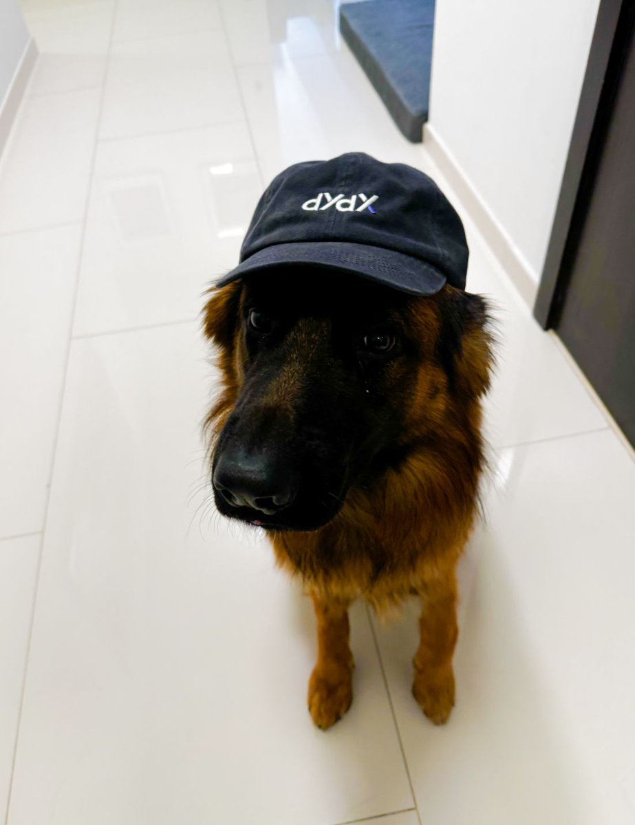 dYdX Protocol (DYDX) | Osmosis